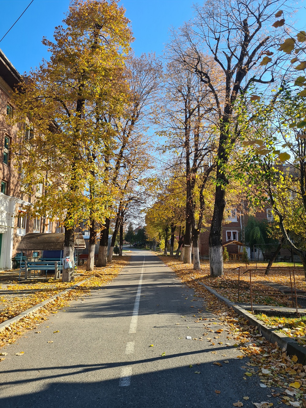 Fieni - Despre "acasa" | High-hui